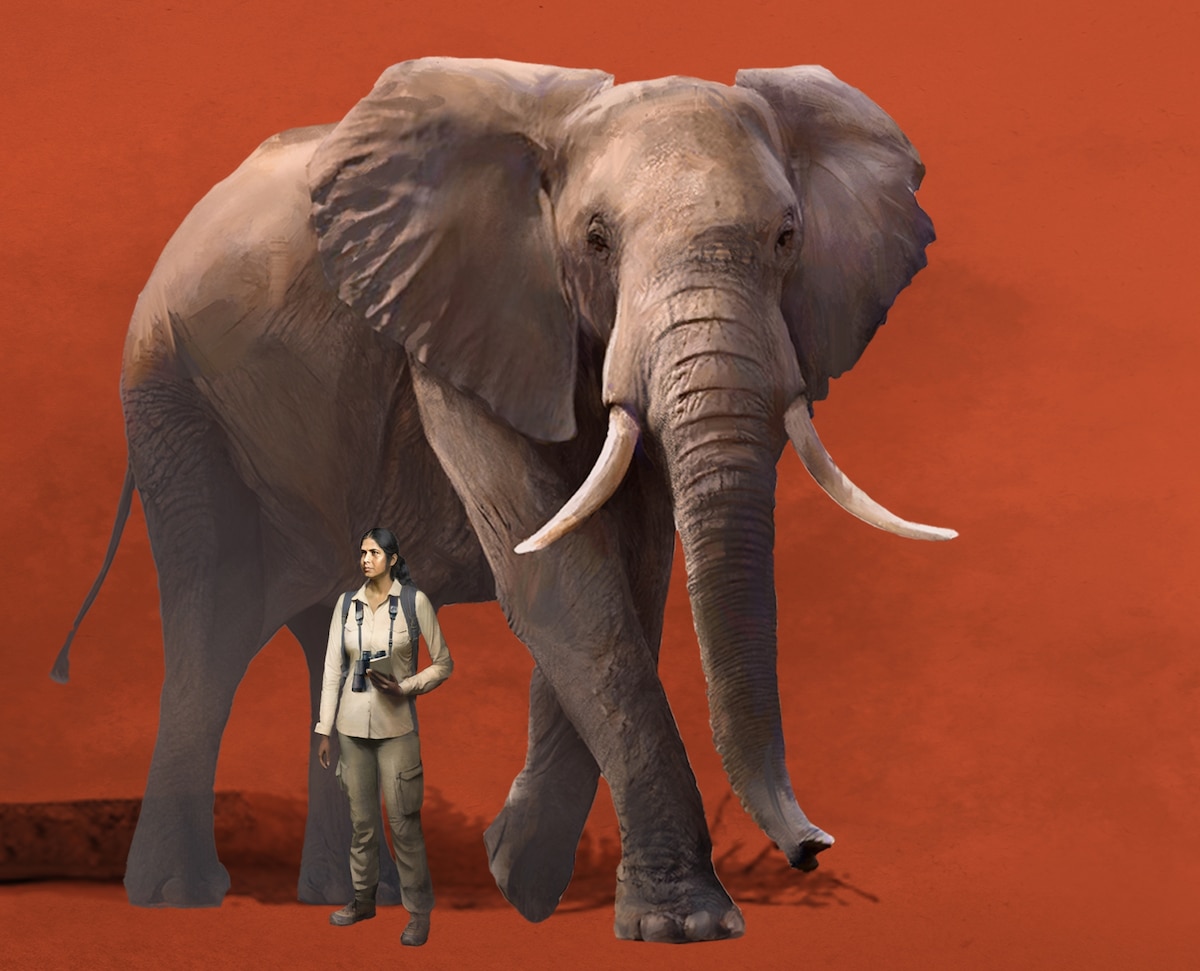 5 surprising ways elephants have evolved | National Geographic