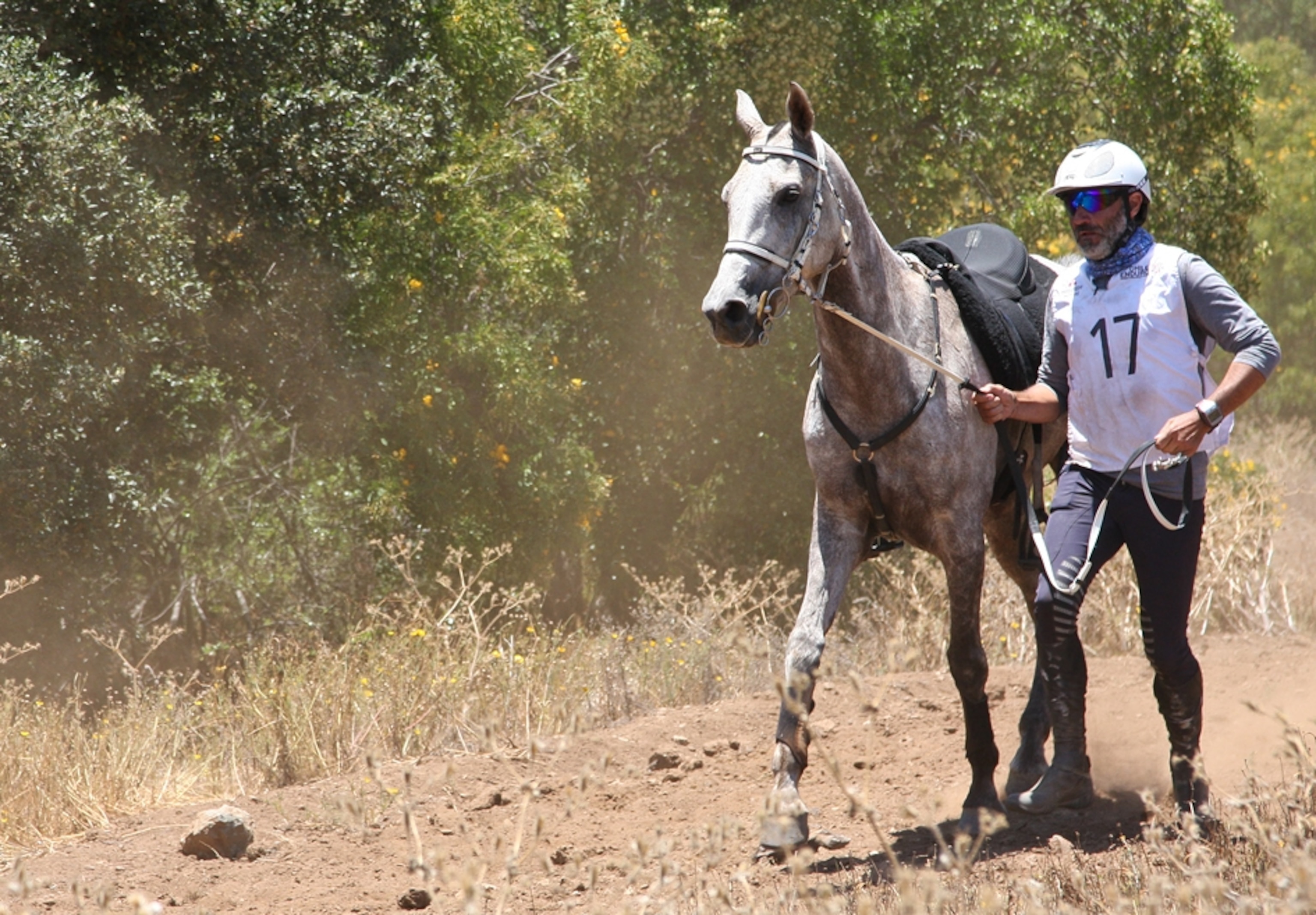 Winning Chile's Marquee Endurance Horse Race Demands More Than Speed ...