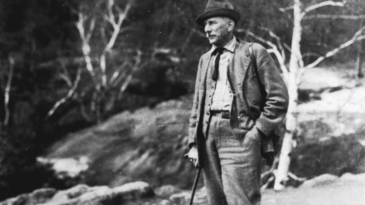 The forgotten eccentric that made America's forests | National Geographic
