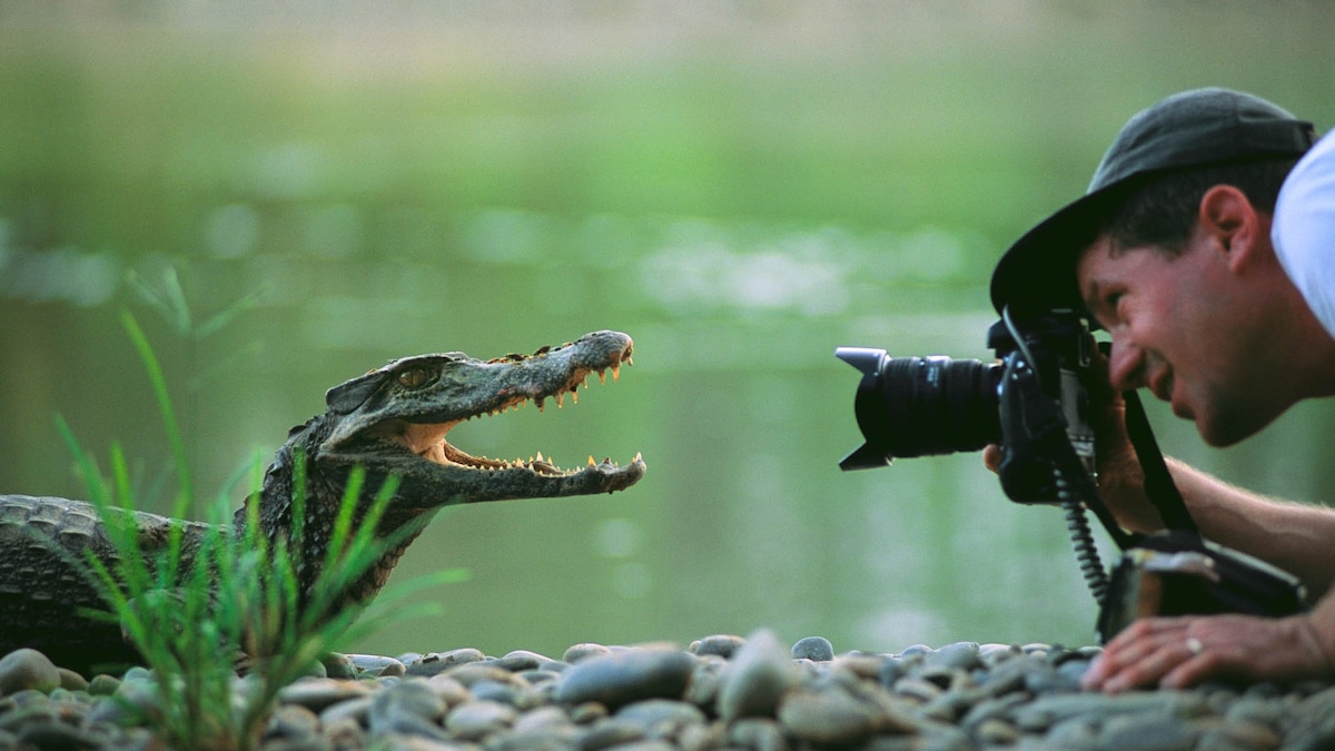 30 astonishing pictures found from the Nat Geo archives | National ...