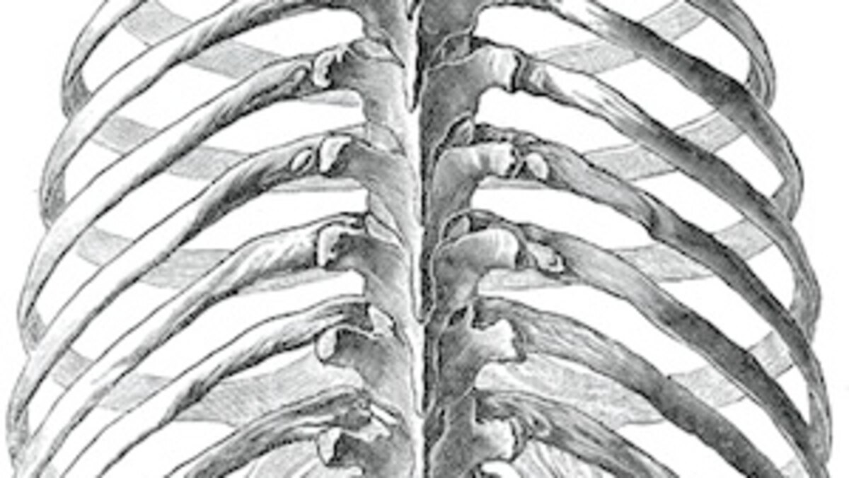 Swimming robots and flexing bones: My new story for the New York Times ...