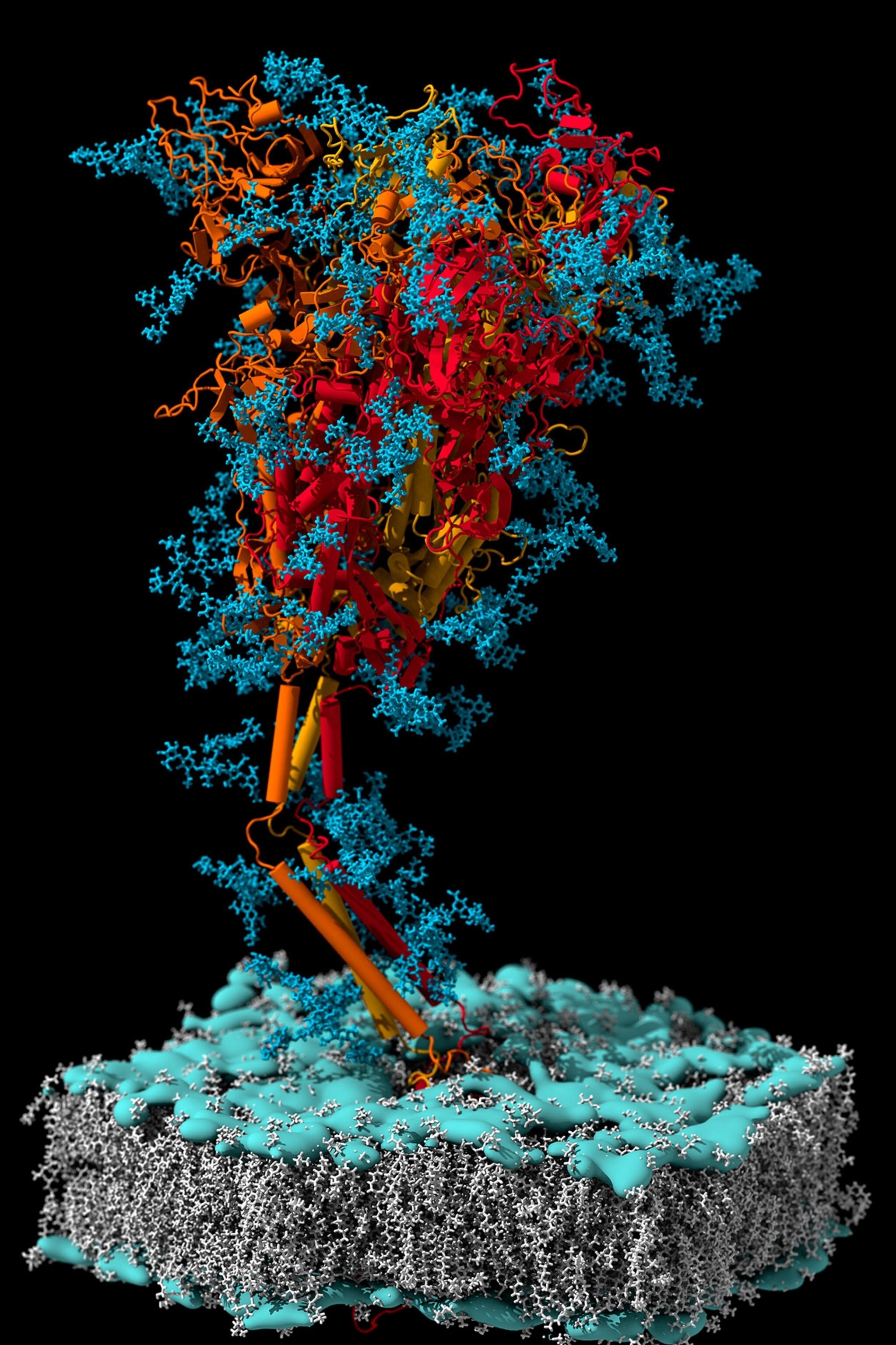 How viruses shape our world