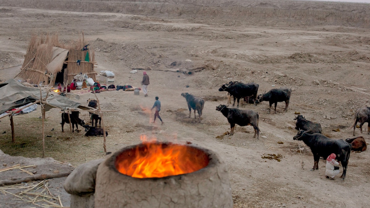 Climate Change and Water Woes Drove ISIS Recruiting in Iraq | National ...