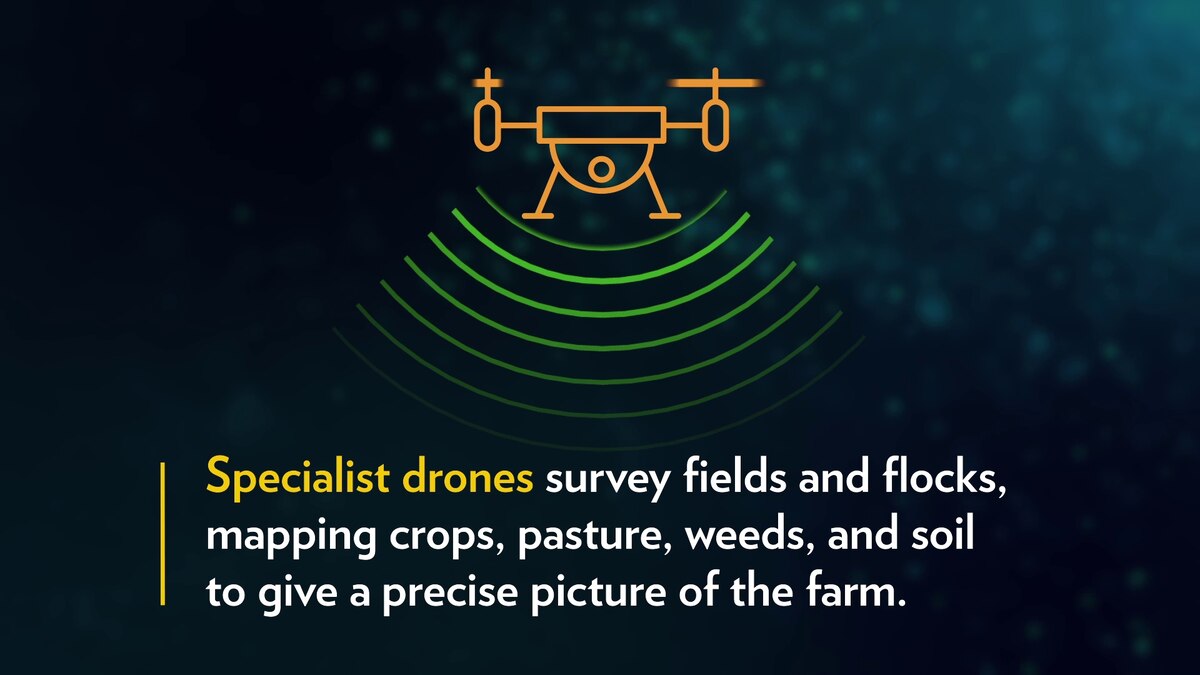 The Future of Livestock Farming