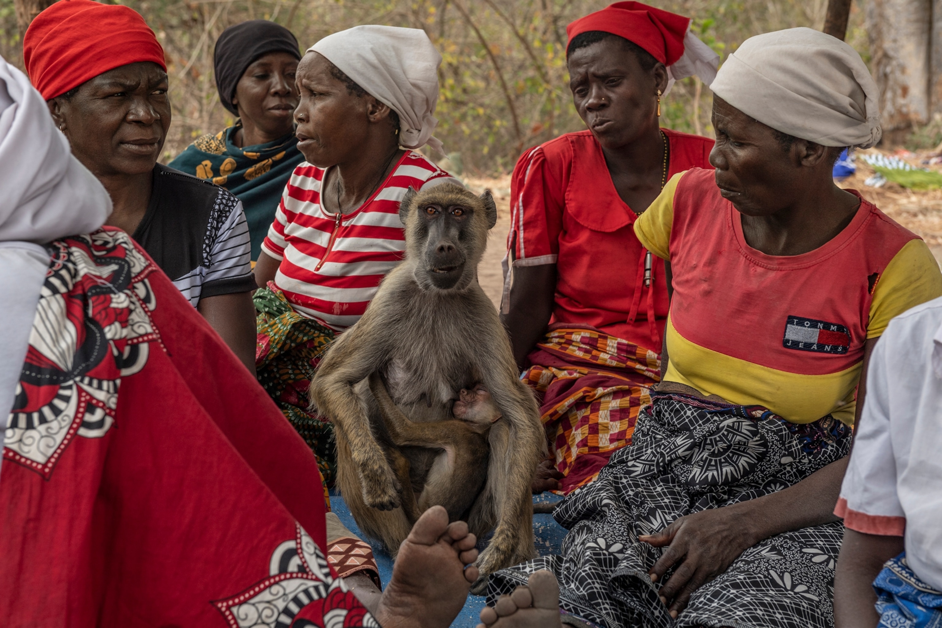 Niassa Special Reserve is thriving—because locals have a stake in its ...