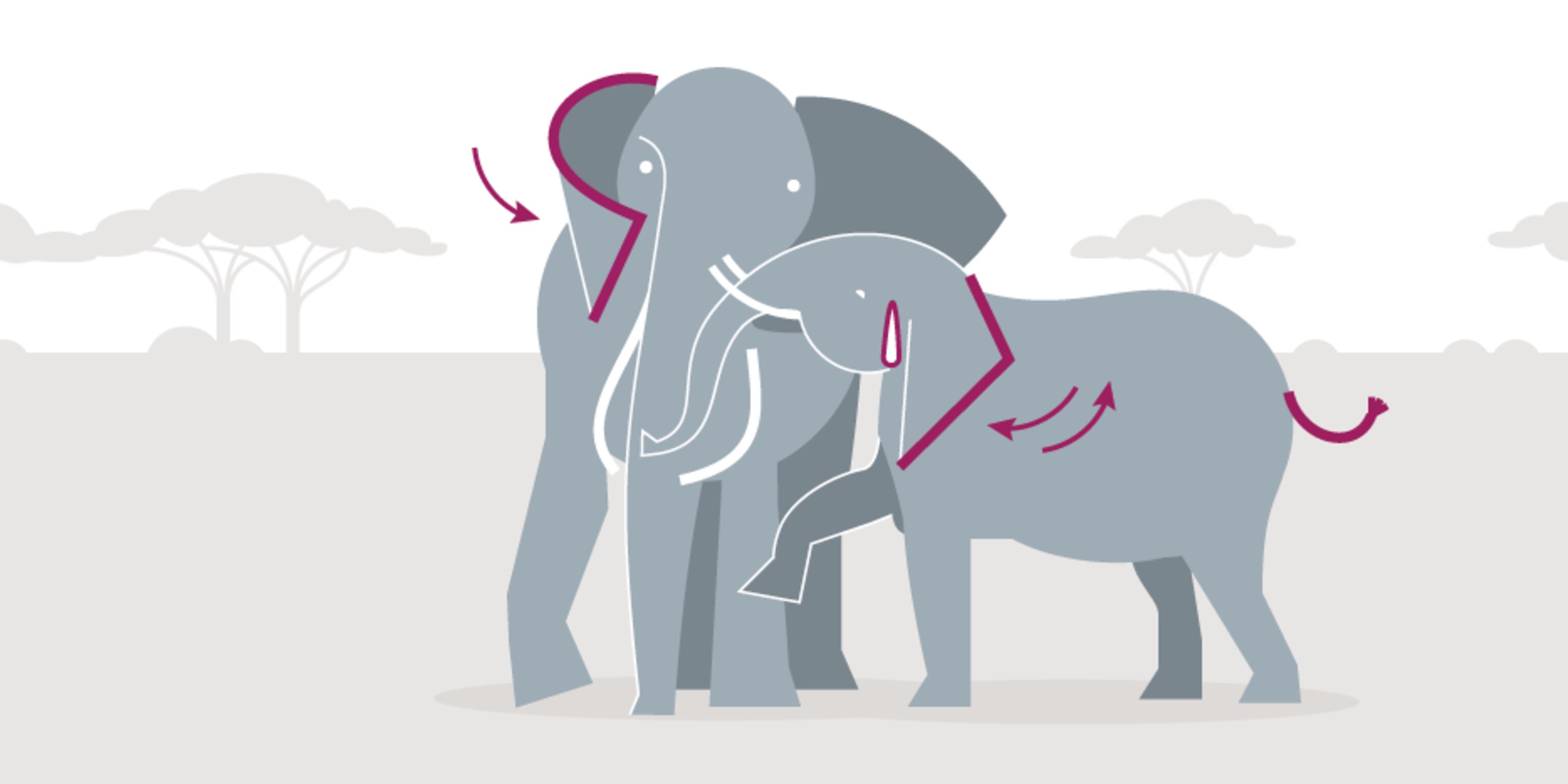 What Elephant Calls Mean: A User’s Guide