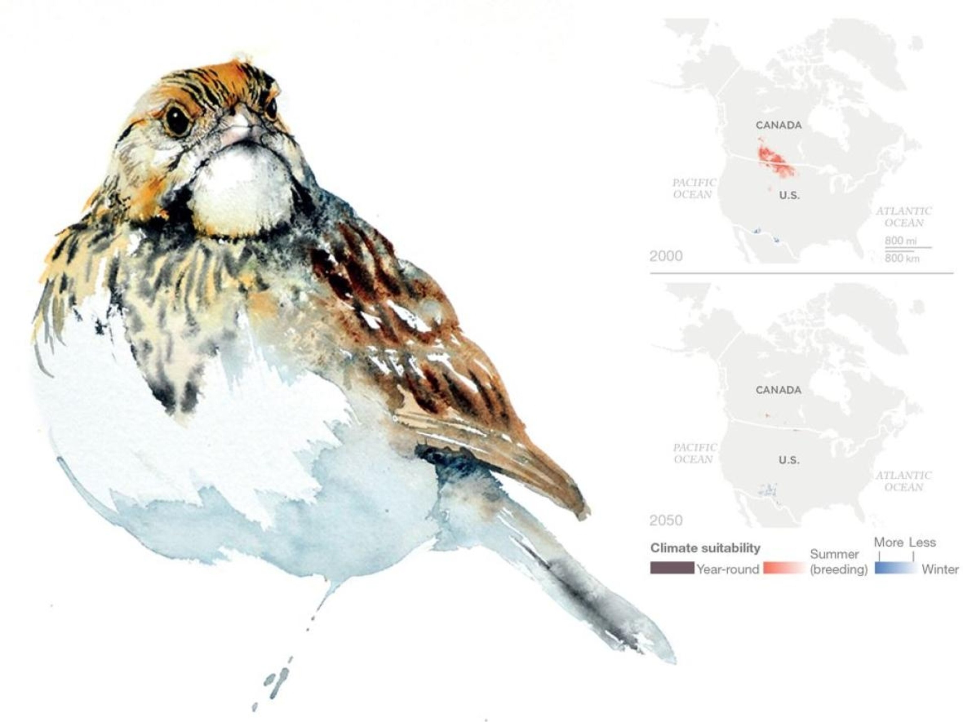 People-Powered Data Visualization