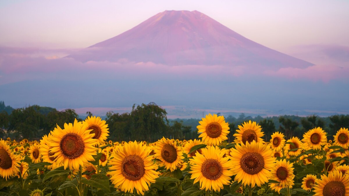 Your best photos of the week, August 23, 2019 | National Geographic