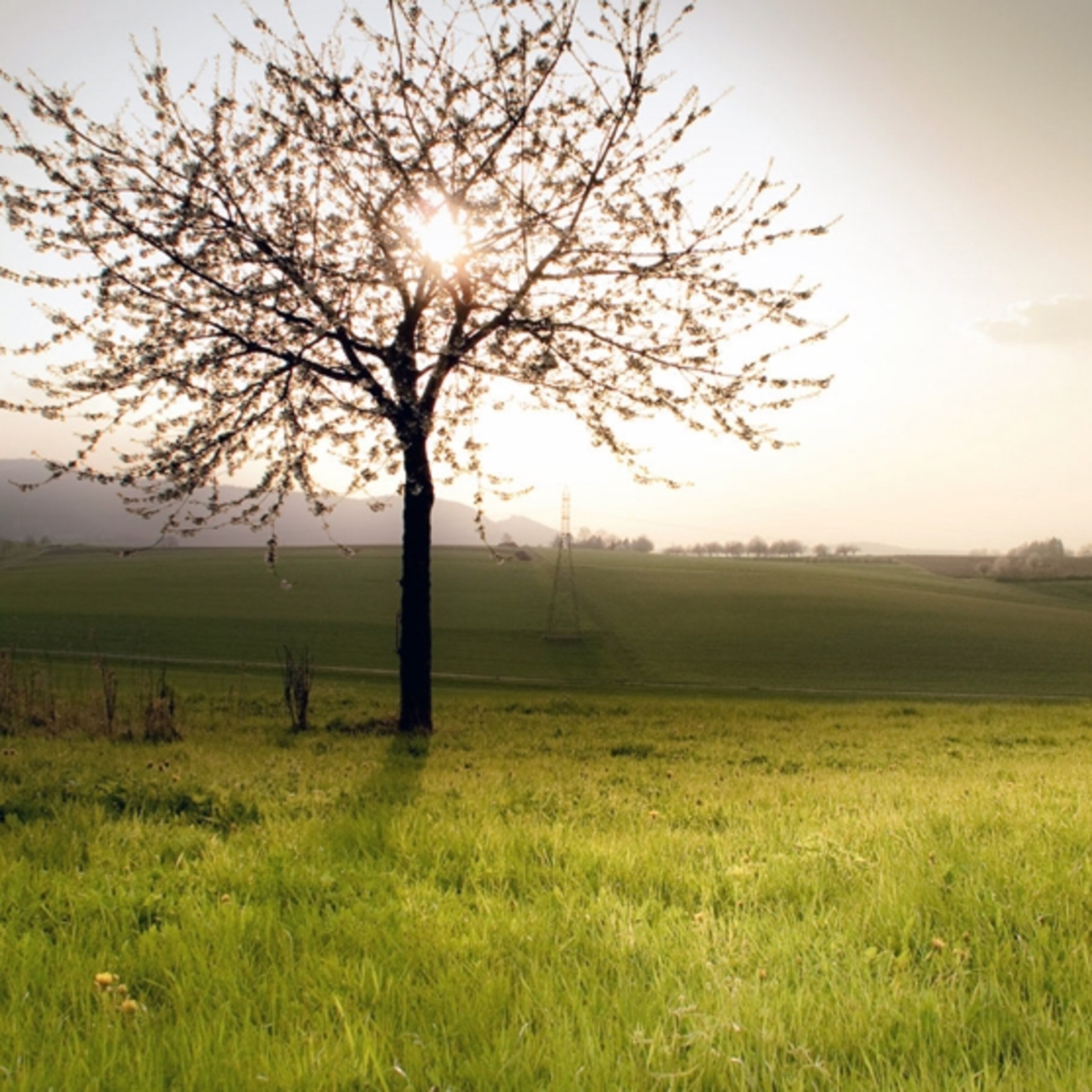 National Geographic Wallpaper Spring