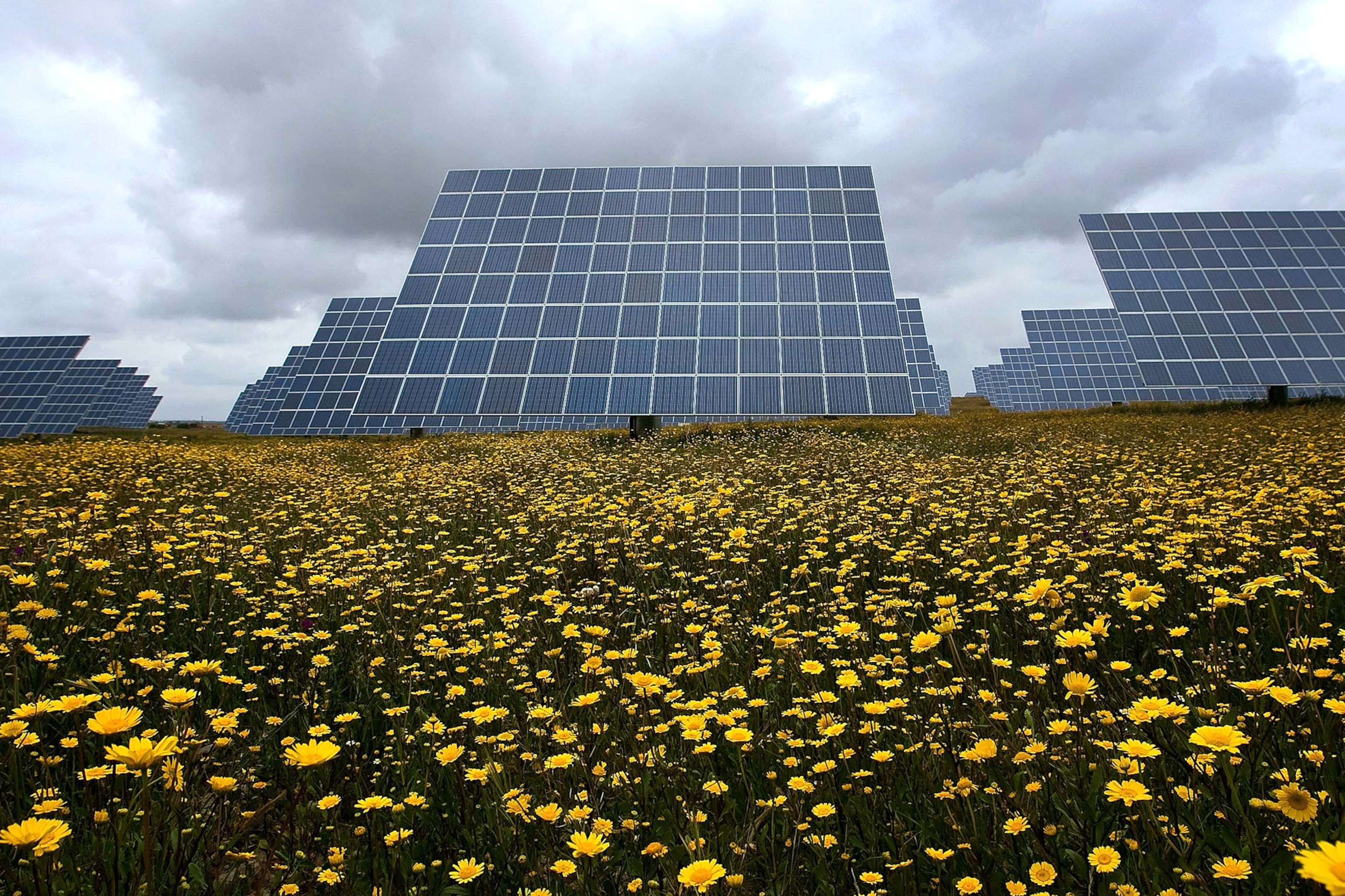 Portugal Ditched Fossil Fuel Power for 4 Days. Can We Go Longer?