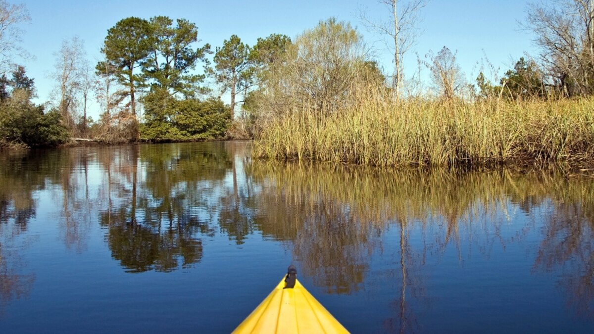 Charleston, South Carolina, America’s Best Adventure Towns -- National ...