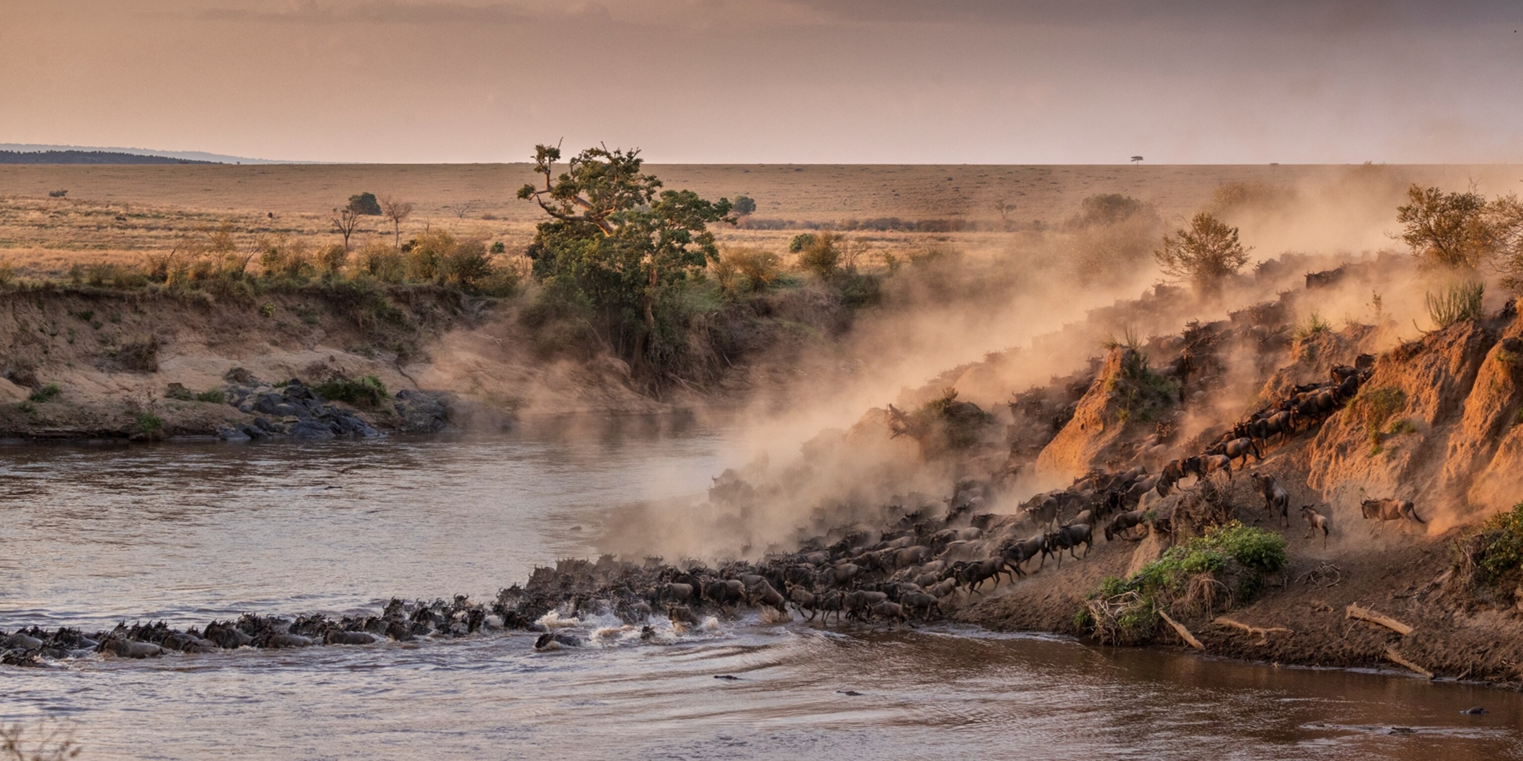 Life through the lens: Charlie Hamilton James