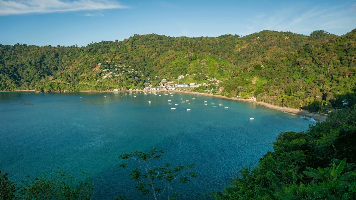 Wildlife expert Newton George on Tobago’s pristine ecosystem and top ...