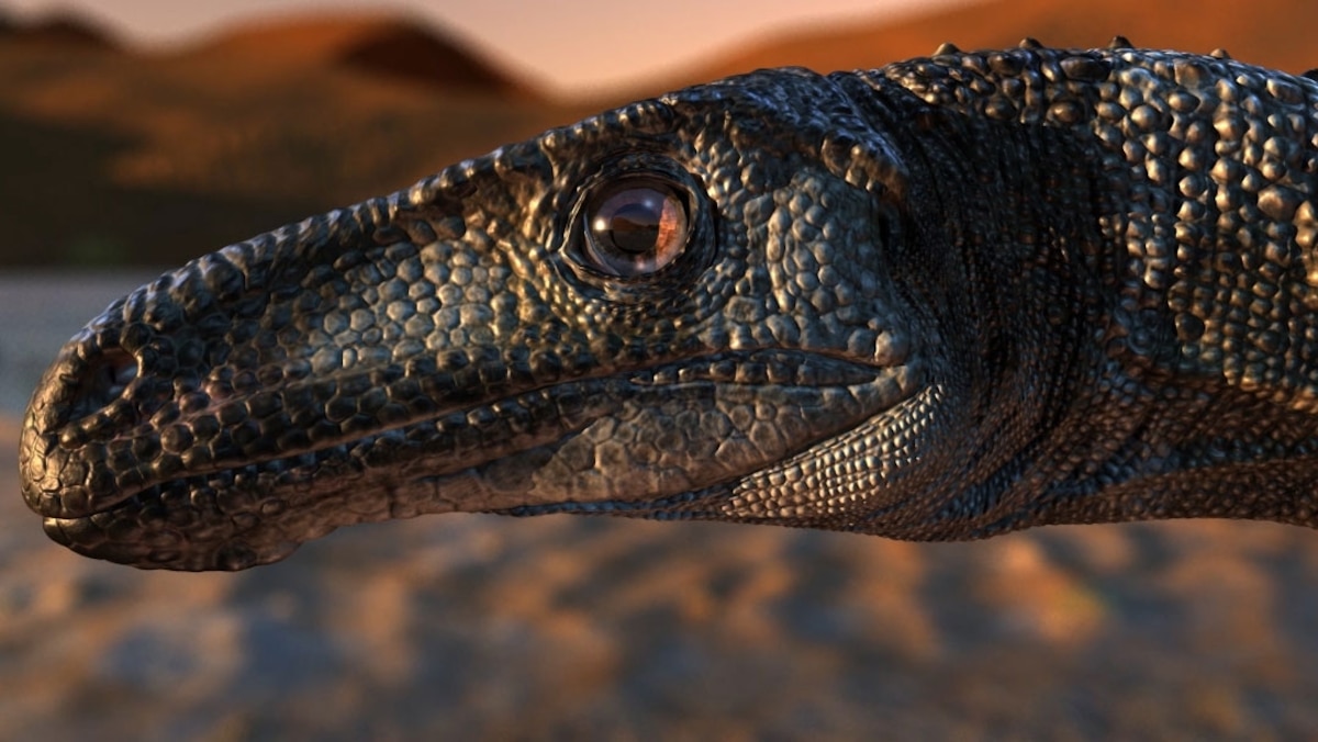 New dinosaur species discovered in Brazil balanced on single toes ...