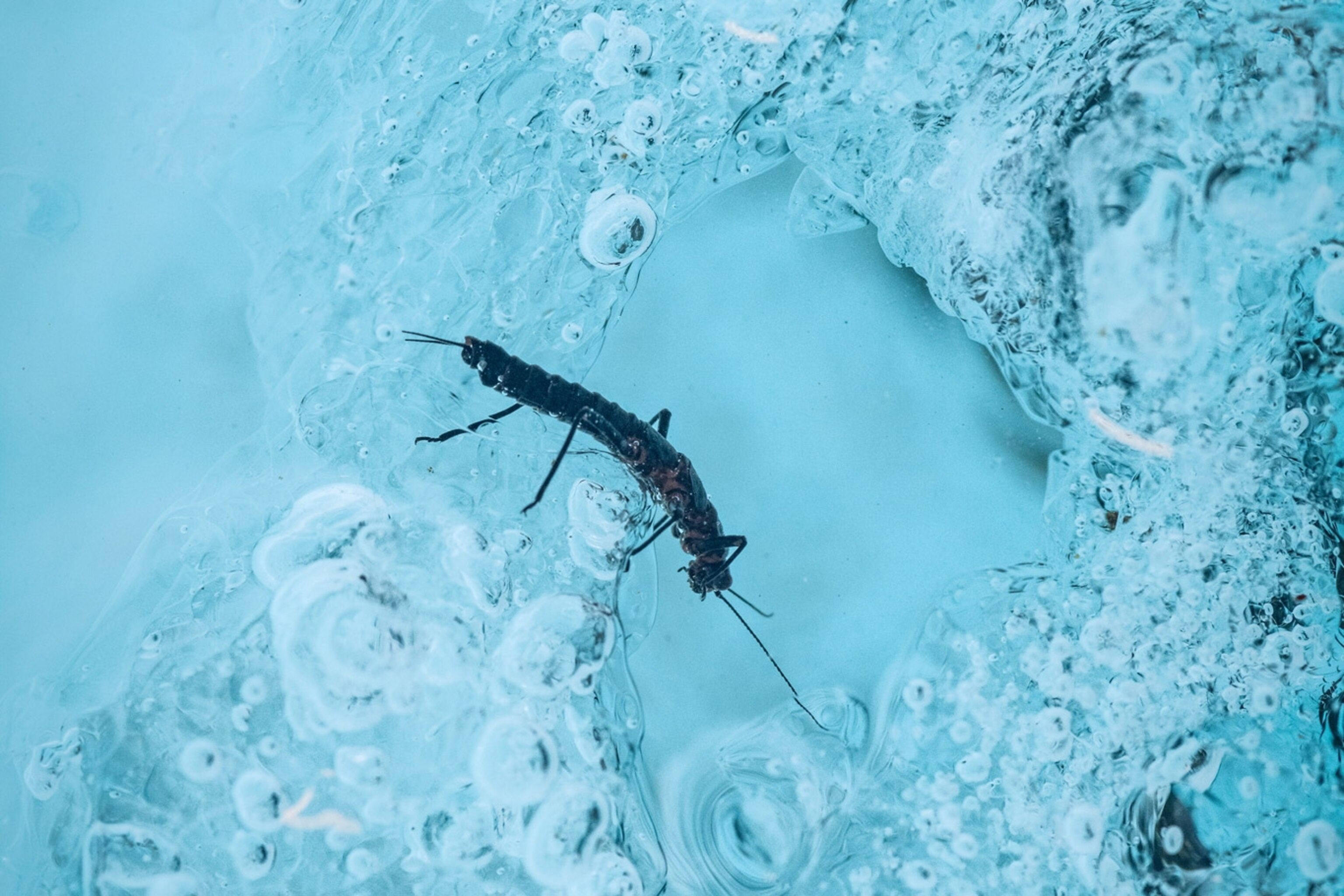 The sobering reality of glacier tourism in Chilean Patagonia