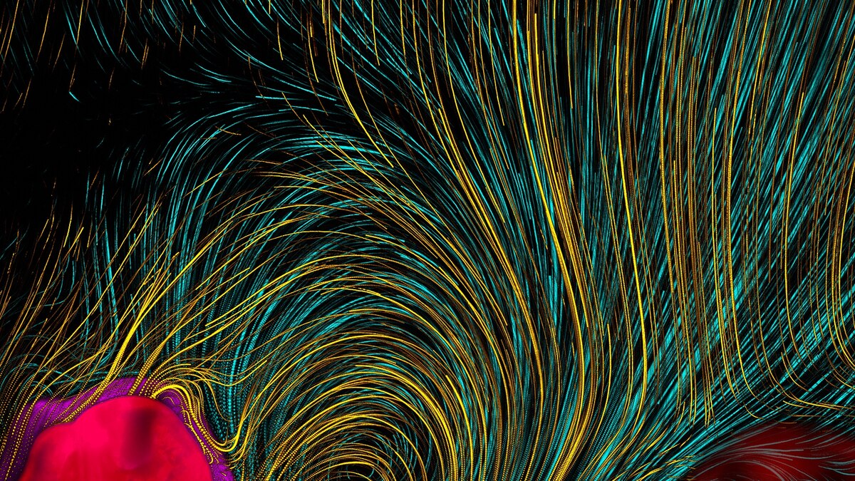Stunning Science Visualization Contest Winners Show Us Pictures of ...