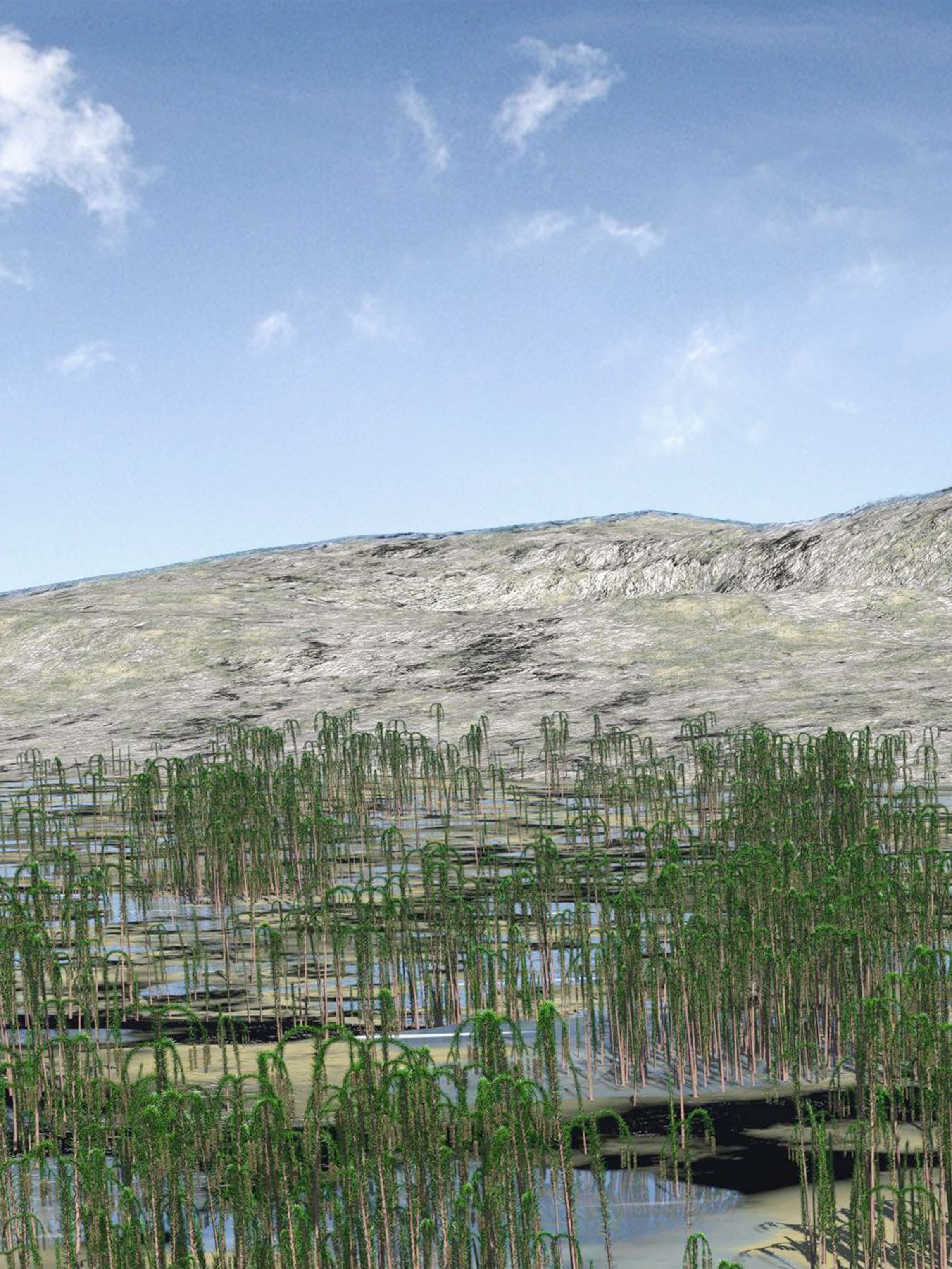 Bizarre fossils reveal Asia’s oldest known forest