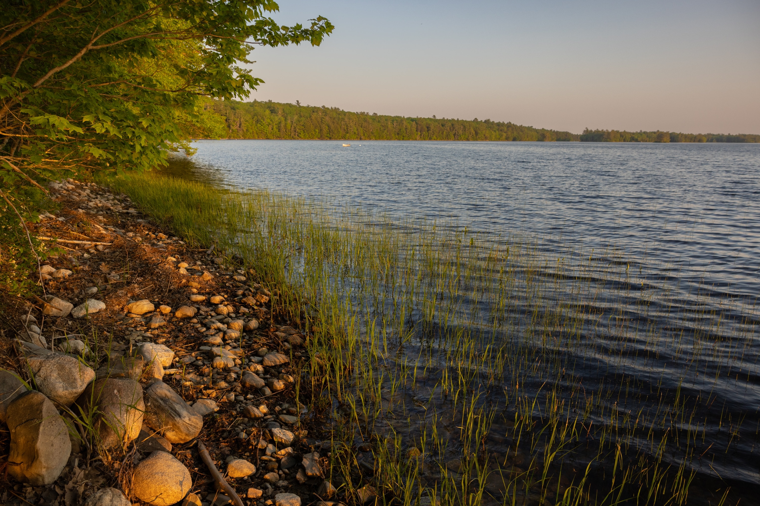 Fireflies and lighthouses: A tour of Maine’s MidCoast