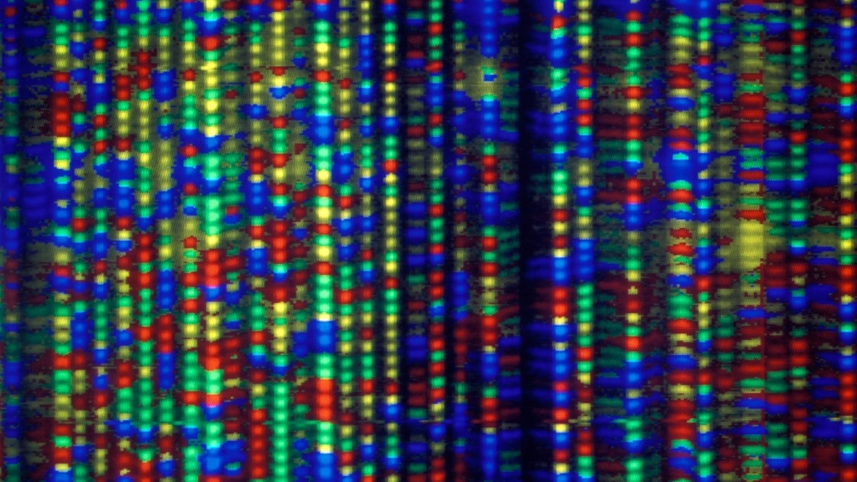 Synthetic DNA Created, Evolves on Its Own | National Geographic