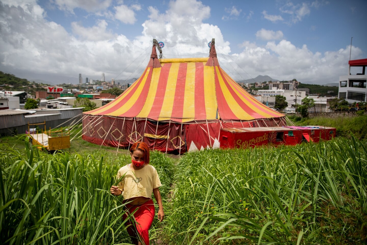 Inside Circus Tent Crowd