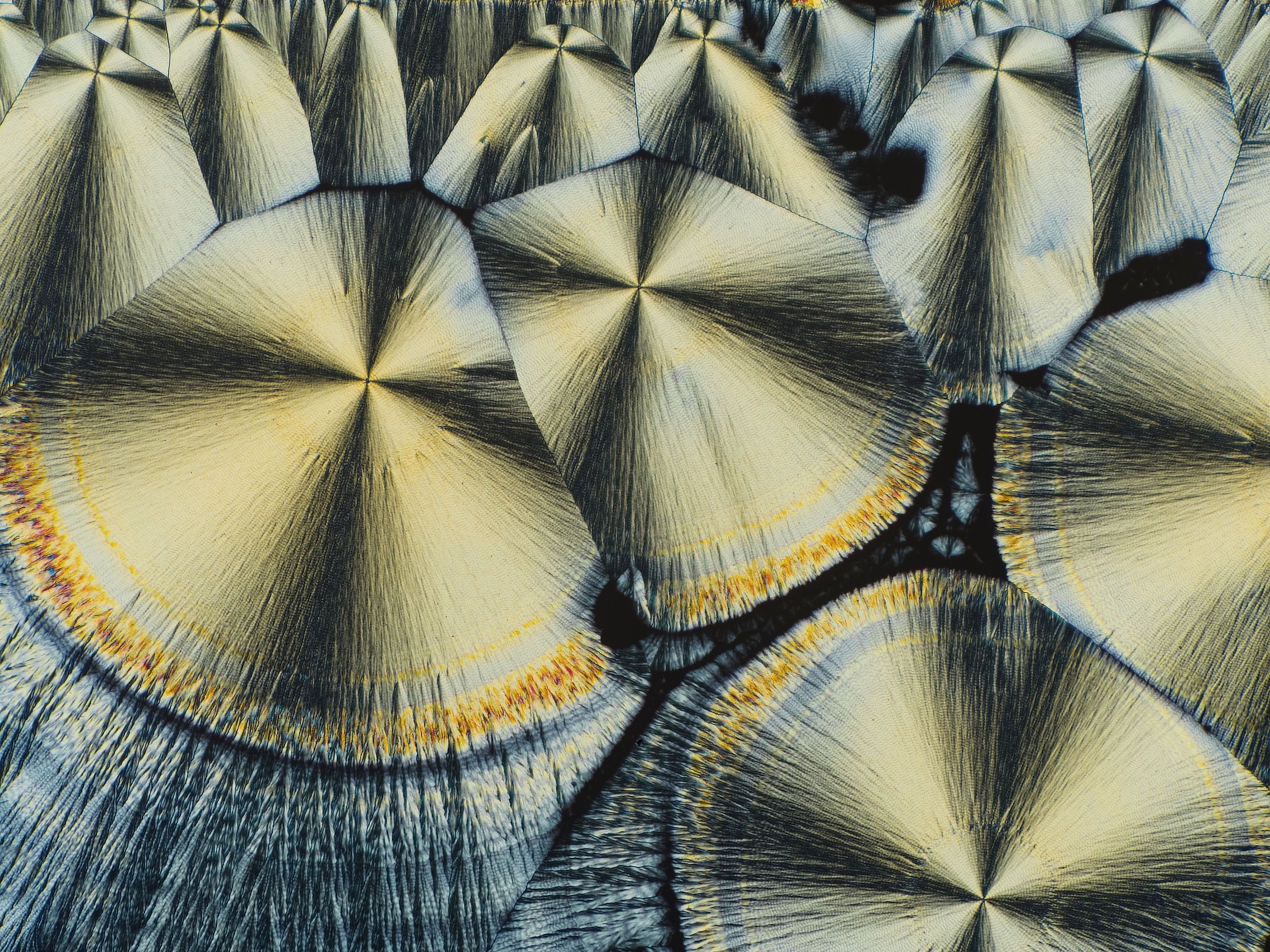 See the extraordinary splendor of ordinary chemicals