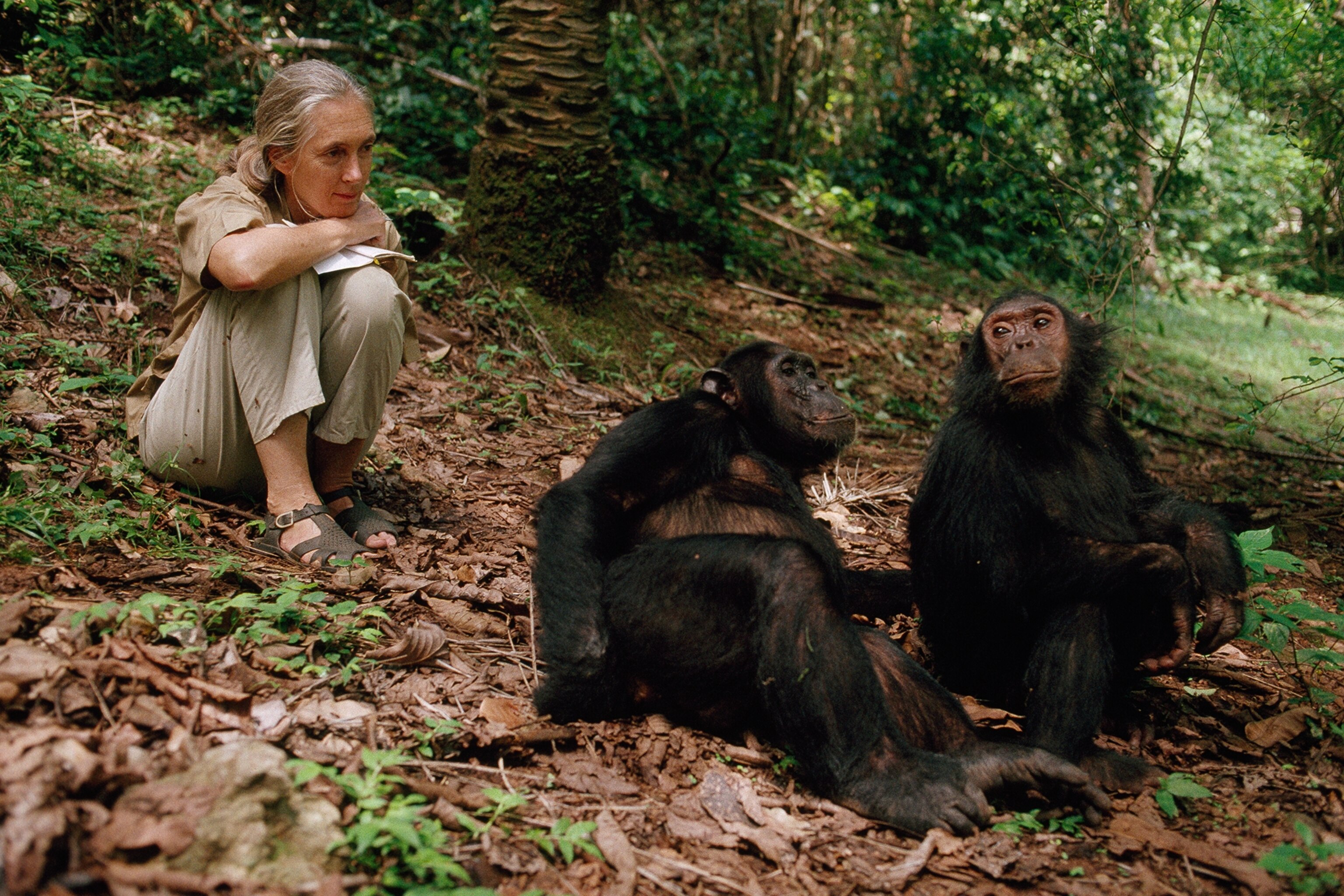 Why It's Crucial to Get More Women Into Science