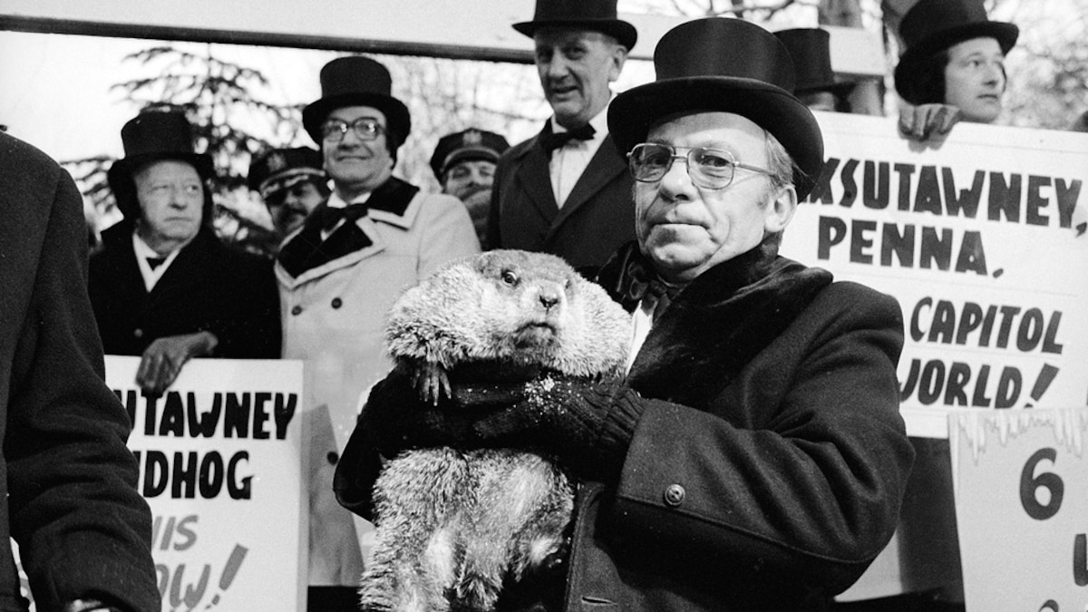 Groundhog Day 2011: Punxsutawney Phil Sees No Shadow | National Geographic