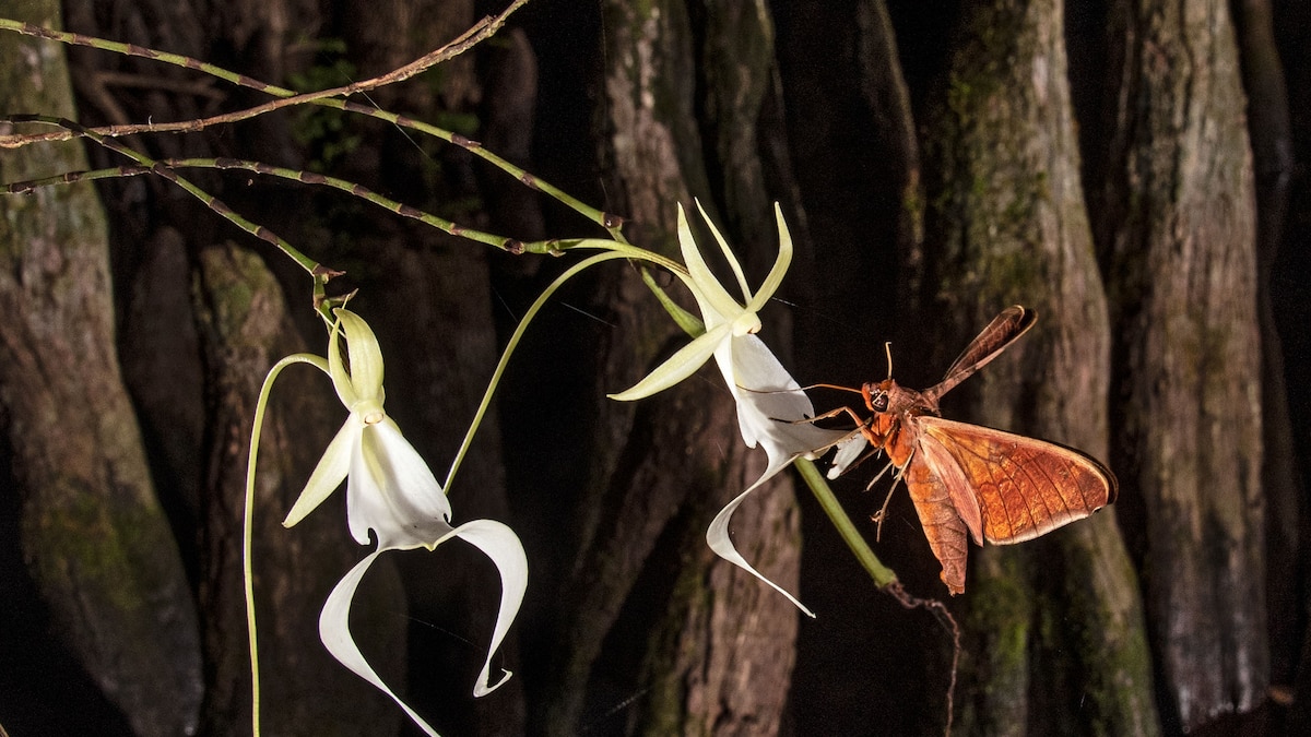 Our three favorite scientific breakthroughs this month