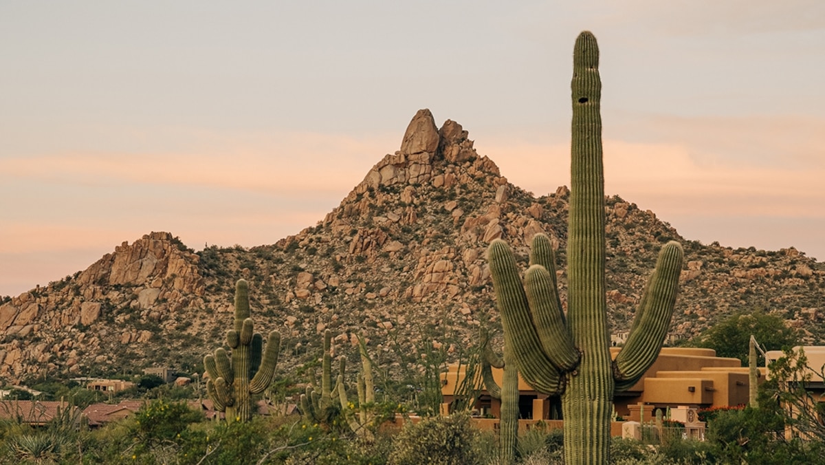 From cactus trails to clay wraps—discover wellness in Scottsdale ...