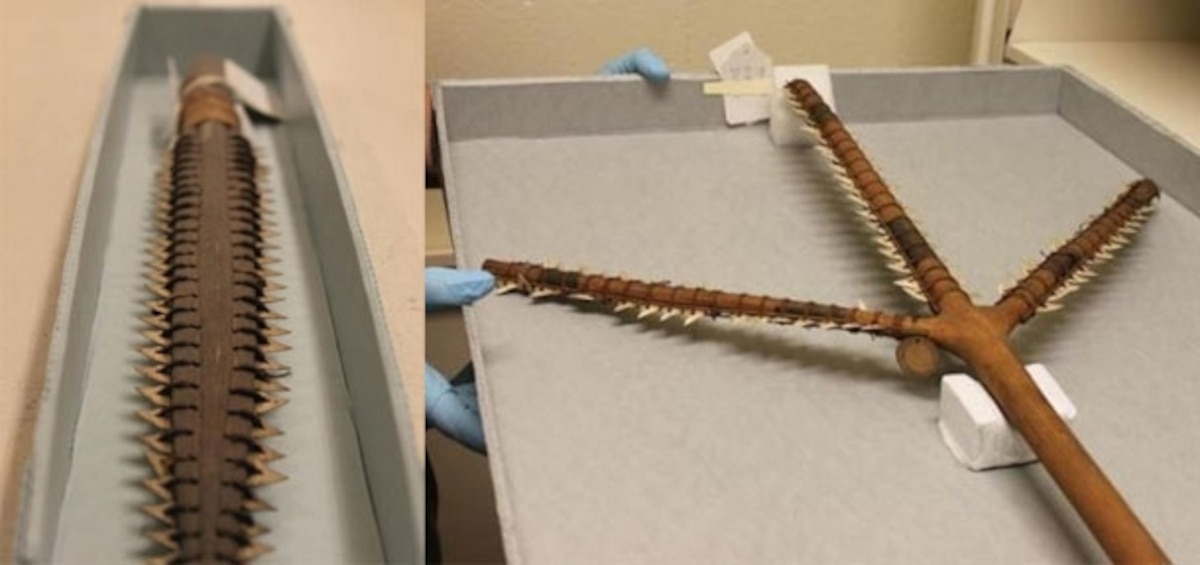 Weapons made from shark teeth are completely badass, and hint at lost ...