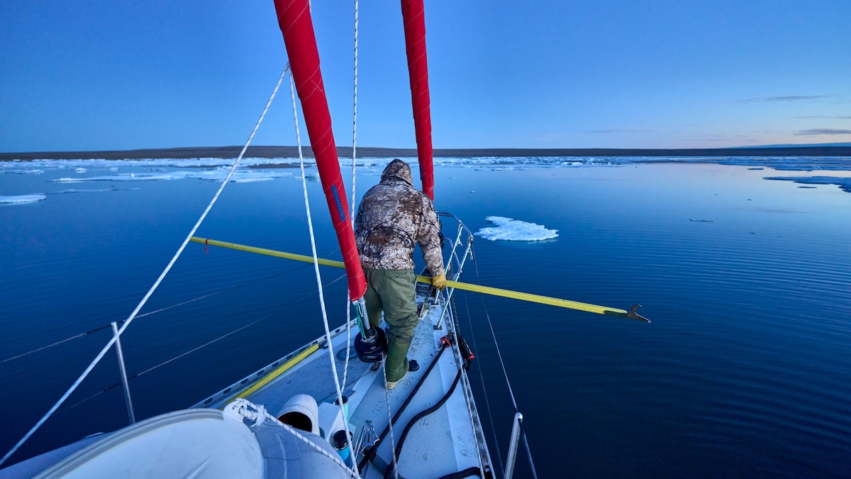 Explorer Mark Synnott isn't afraid to be reckless | National Geographic