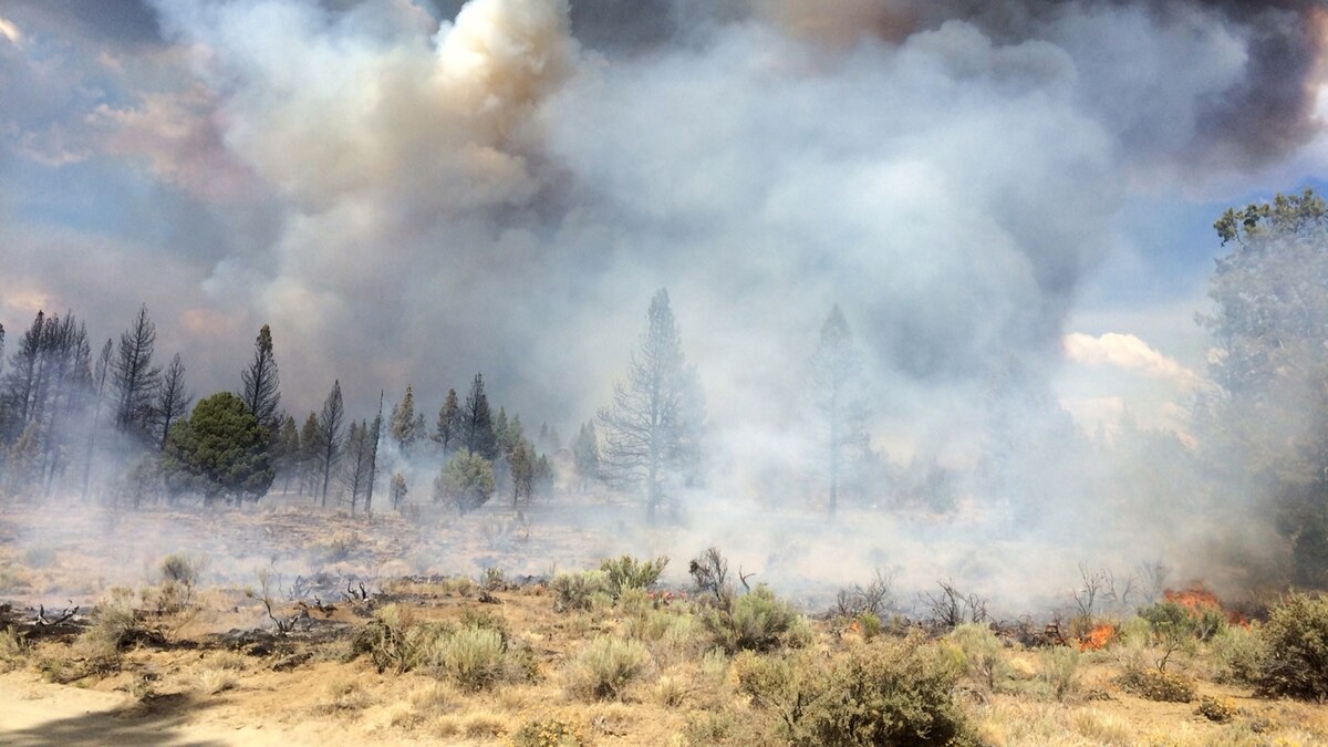 Wildfires Intensify in Pacific Northwest as Winds Rise | National ...