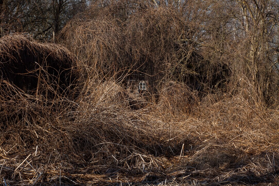 Children Of Chernobyl National Geographic