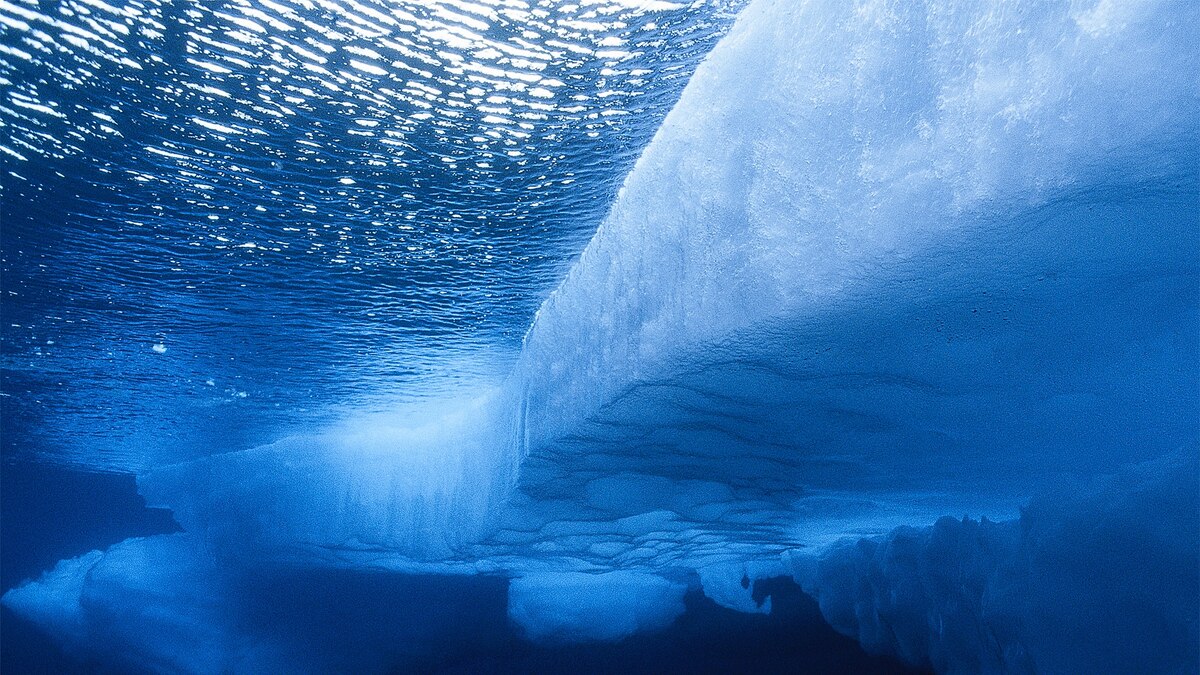 Shell Scales Back 2012 Arctic Drilling Goals | National Geographic