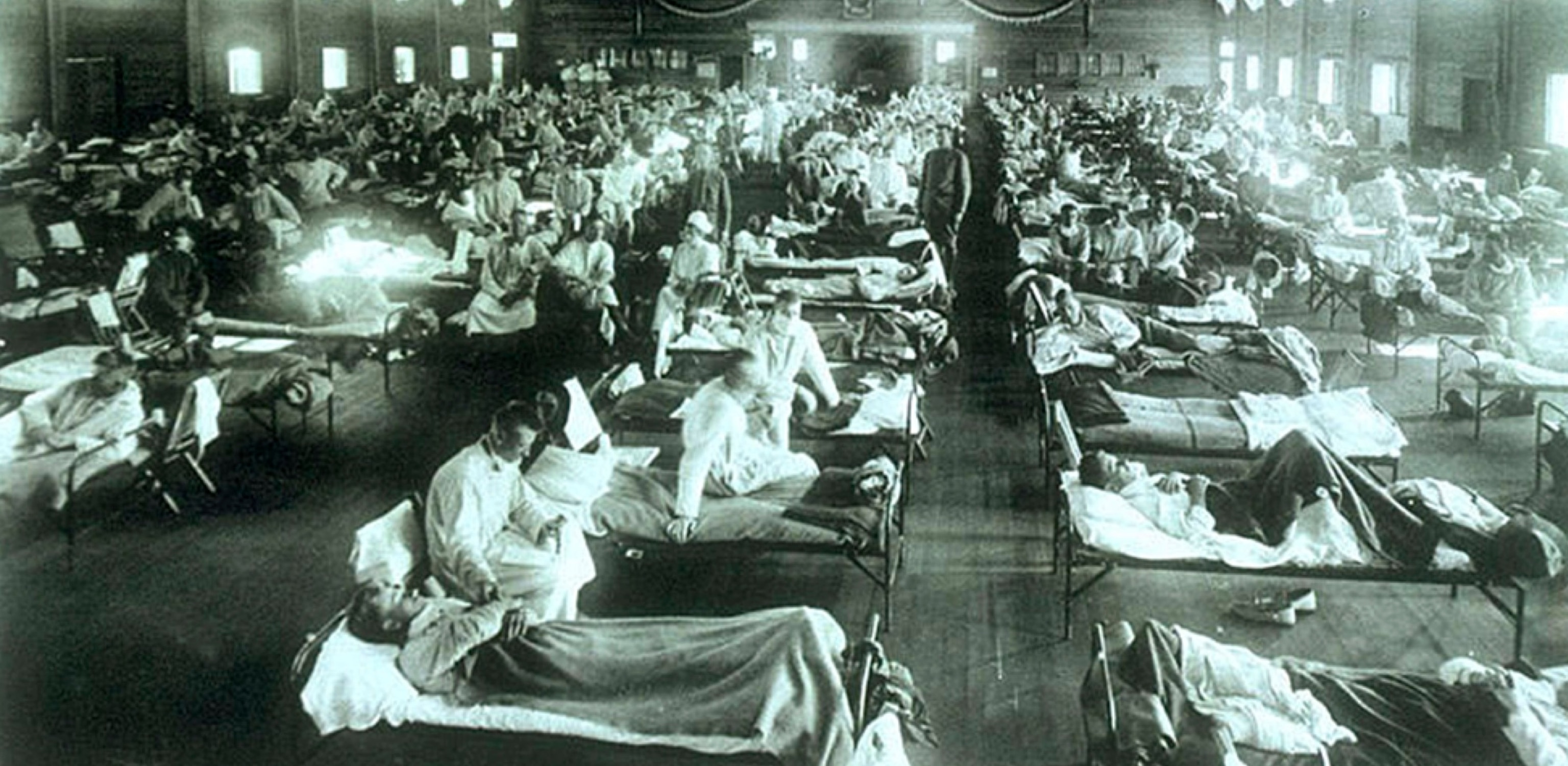 The Future Evolution of Bird Flu | National Geographic