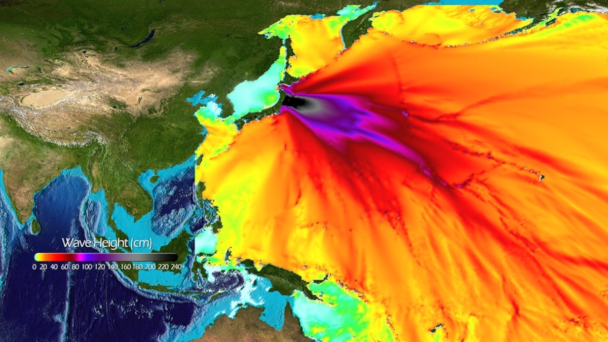 Japan Earthquake Vibrations Nearly Reached Space | National Geographic