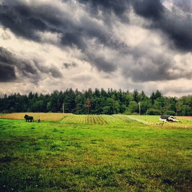National Park Offers Farmland of the People, by the People, for the People