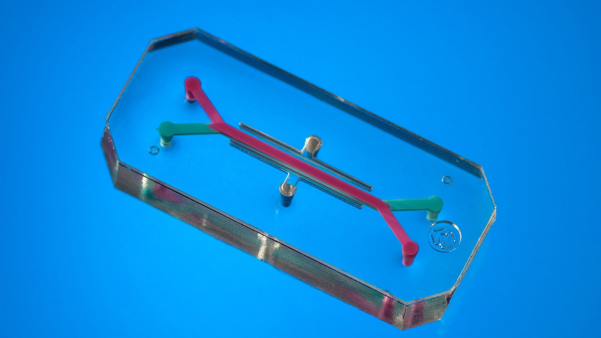 How ‘Organs on a Chip’ Will Revolutionize Medicine | National Geographic