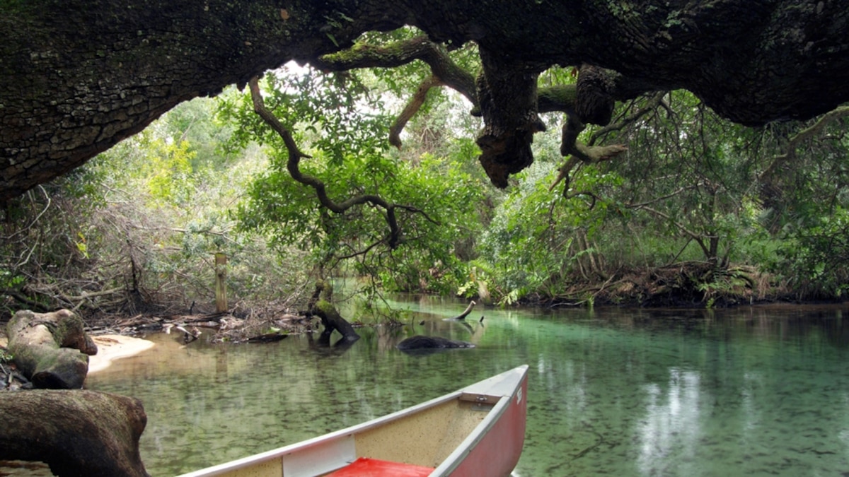 Florida by Water: Paddle Into the Wild -- National Geographic ...