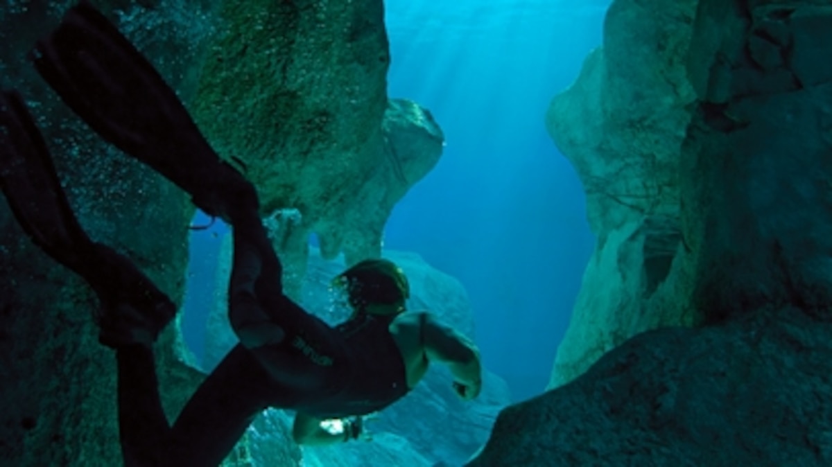 Sanctum: The True Story Behind the Epic 3-D Adventure | National Geographic