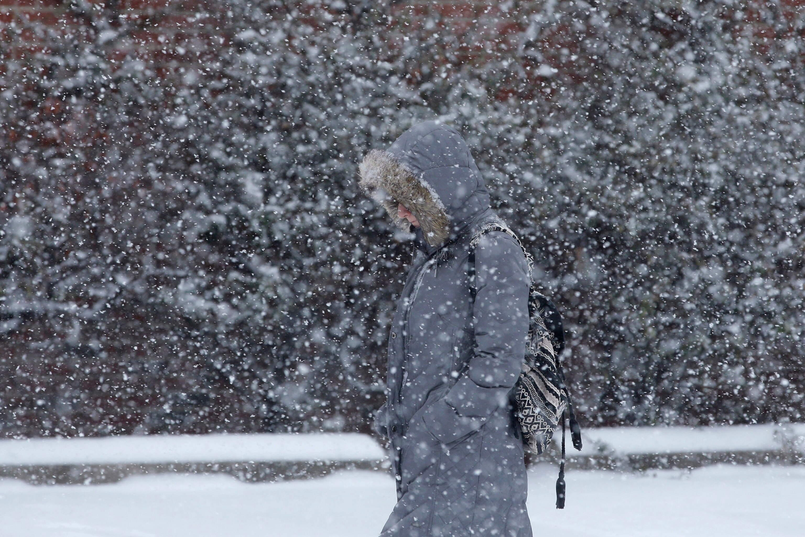 Editor's Picks: Our Favorite Pictures of the Winter Snowstorm ...