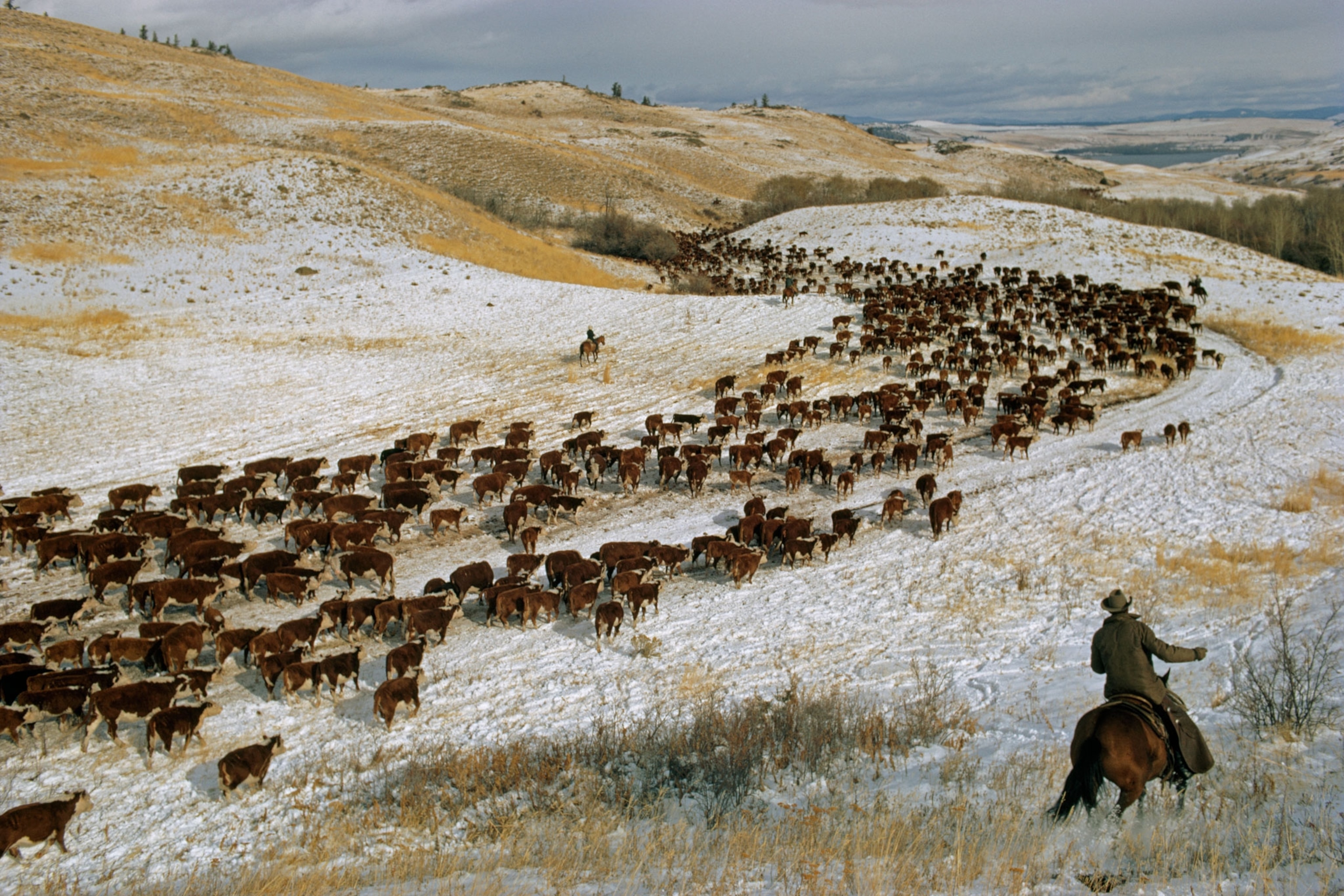 Yeehaw! 18 Photos for National Day of the Cowboy