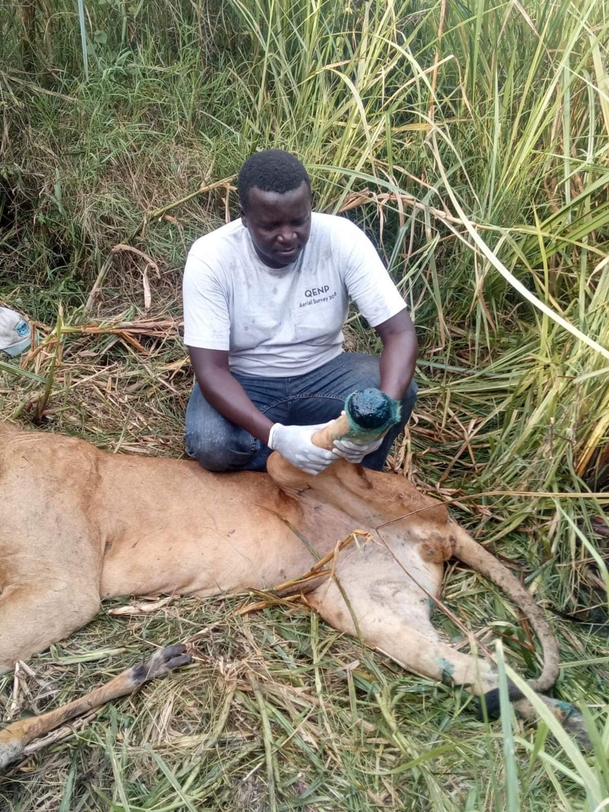 This three-legged lion is a symbol of hope—and what needs to change
