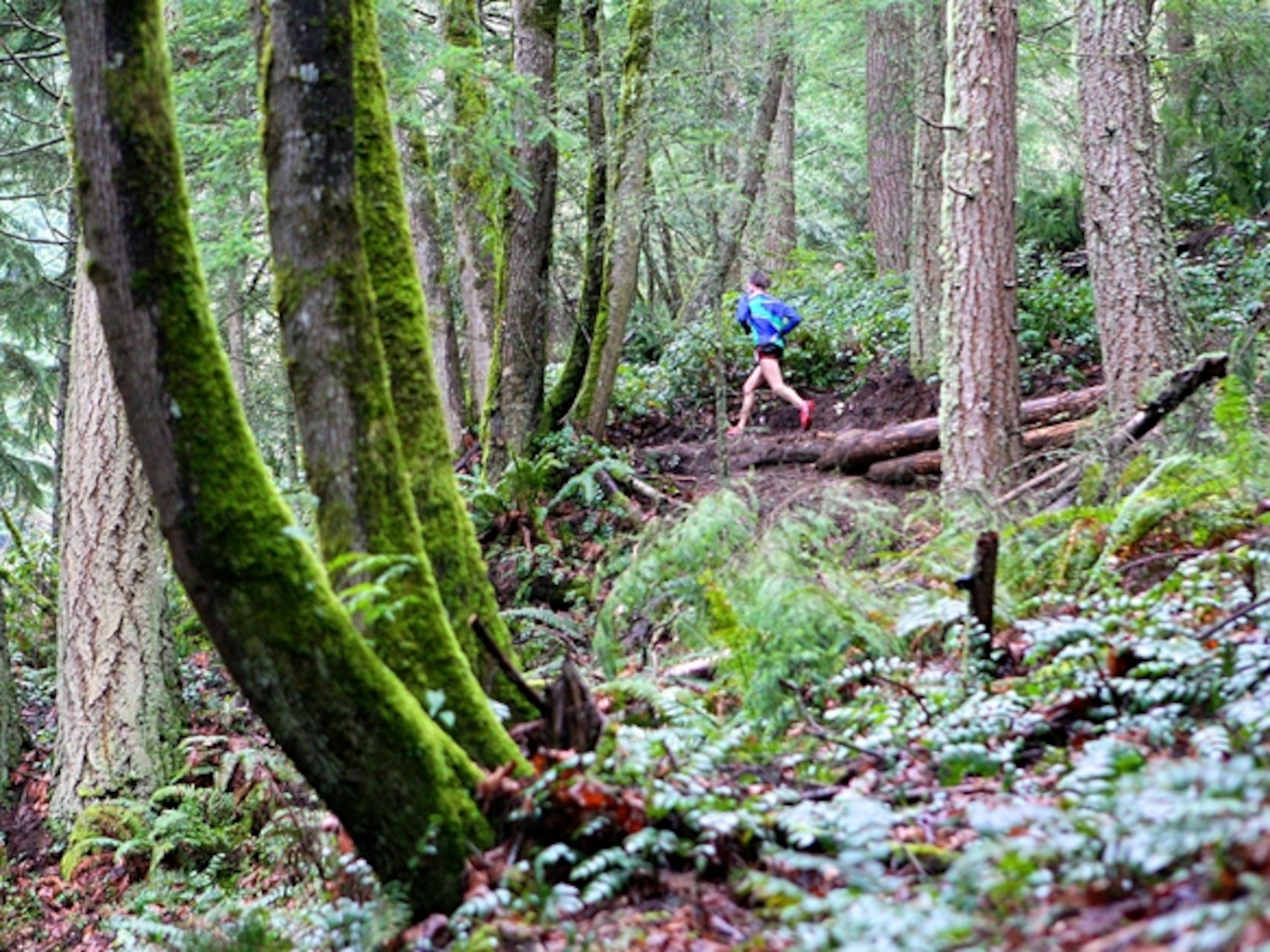 The Chuckanut 50K: 30 Miles Through Muck and Mud