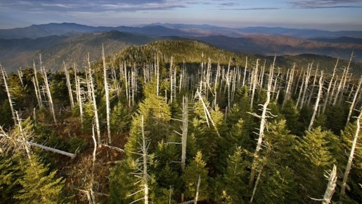 Top Ten Issues Facing the National Parks -- National Geographic ...