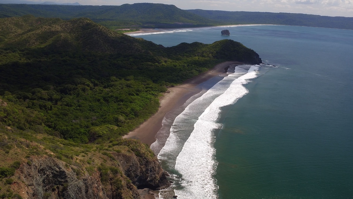 Untamed: Costa Rica | National Geographic