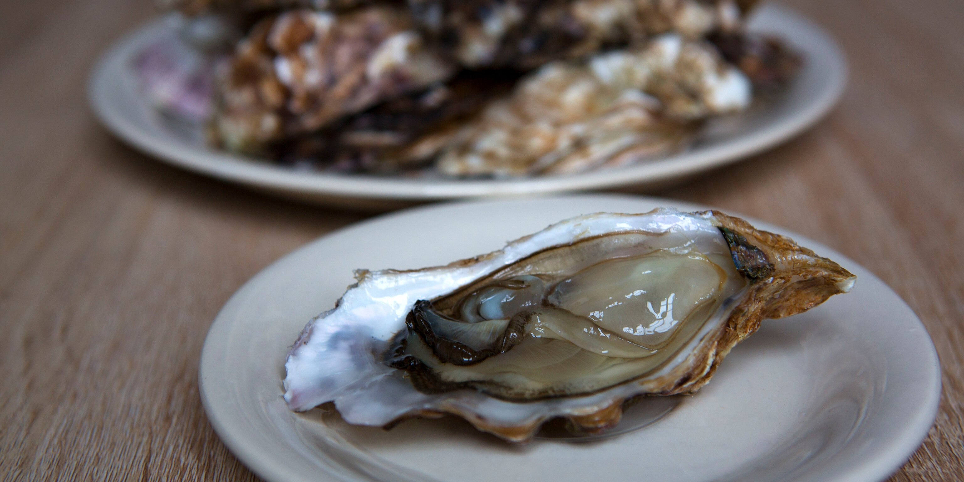 Oyster Dishes