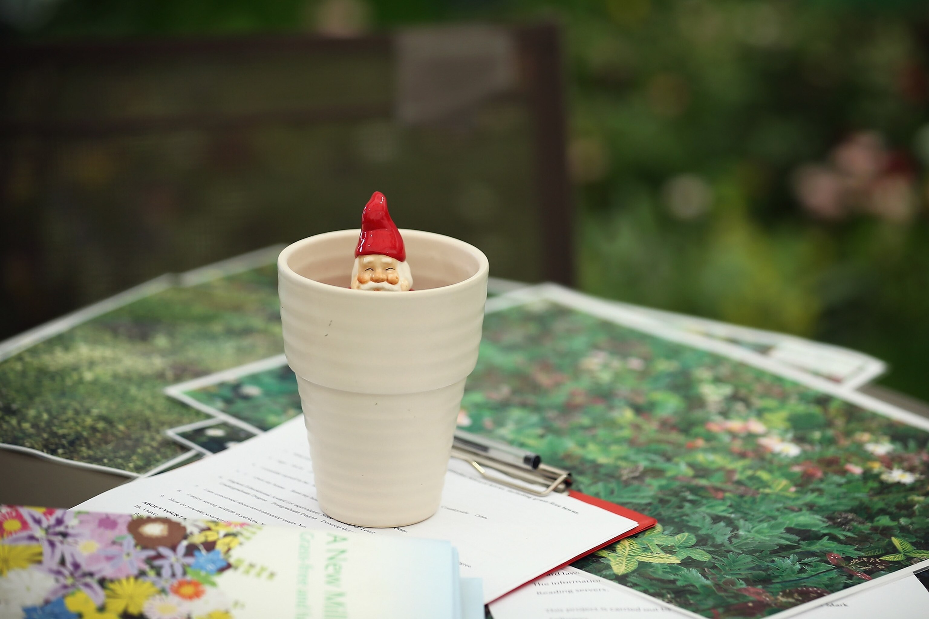 There's a Gnome at the Bottom of Your Garden