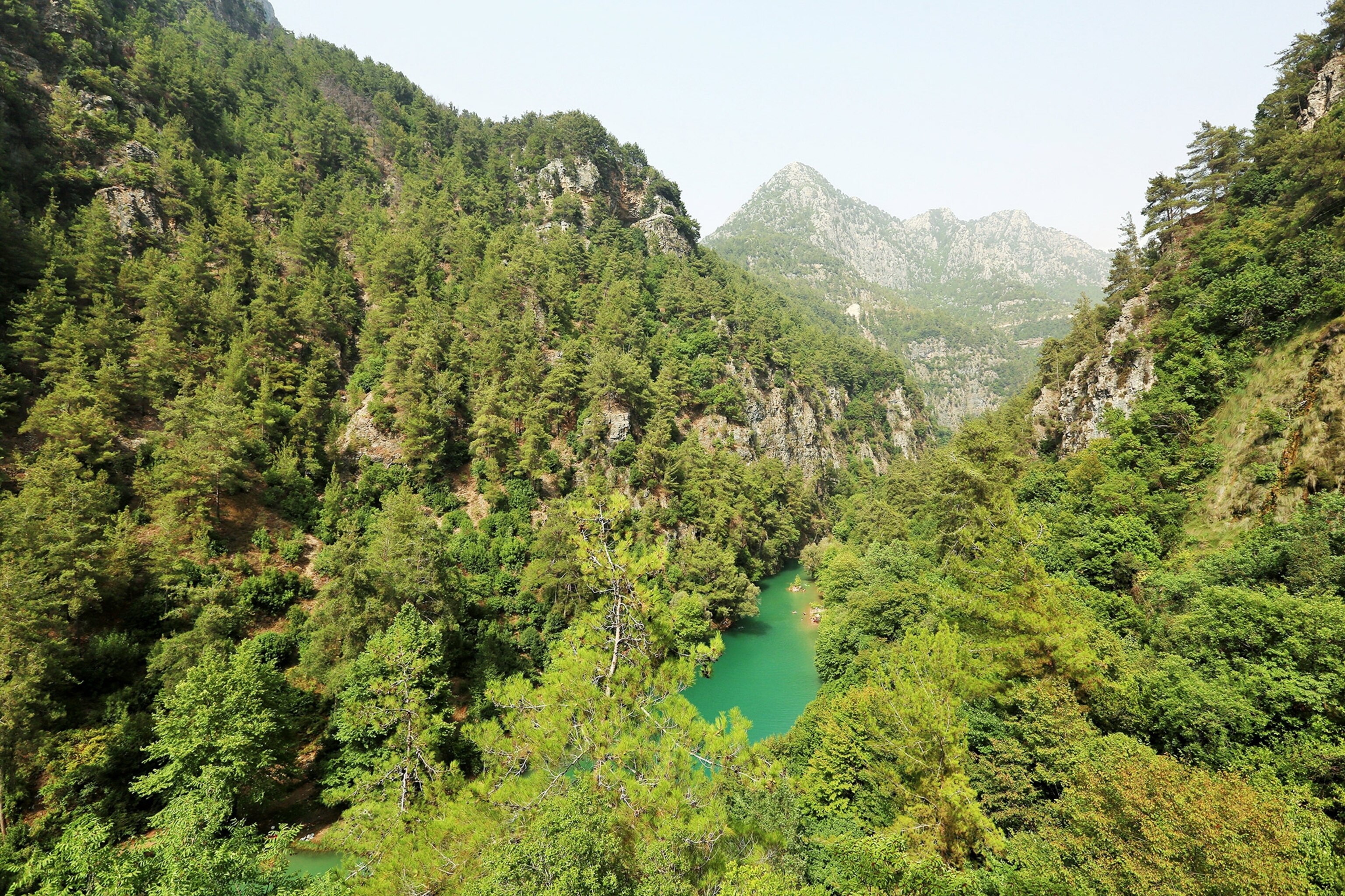 Magnificent Gardens -- National Geographic