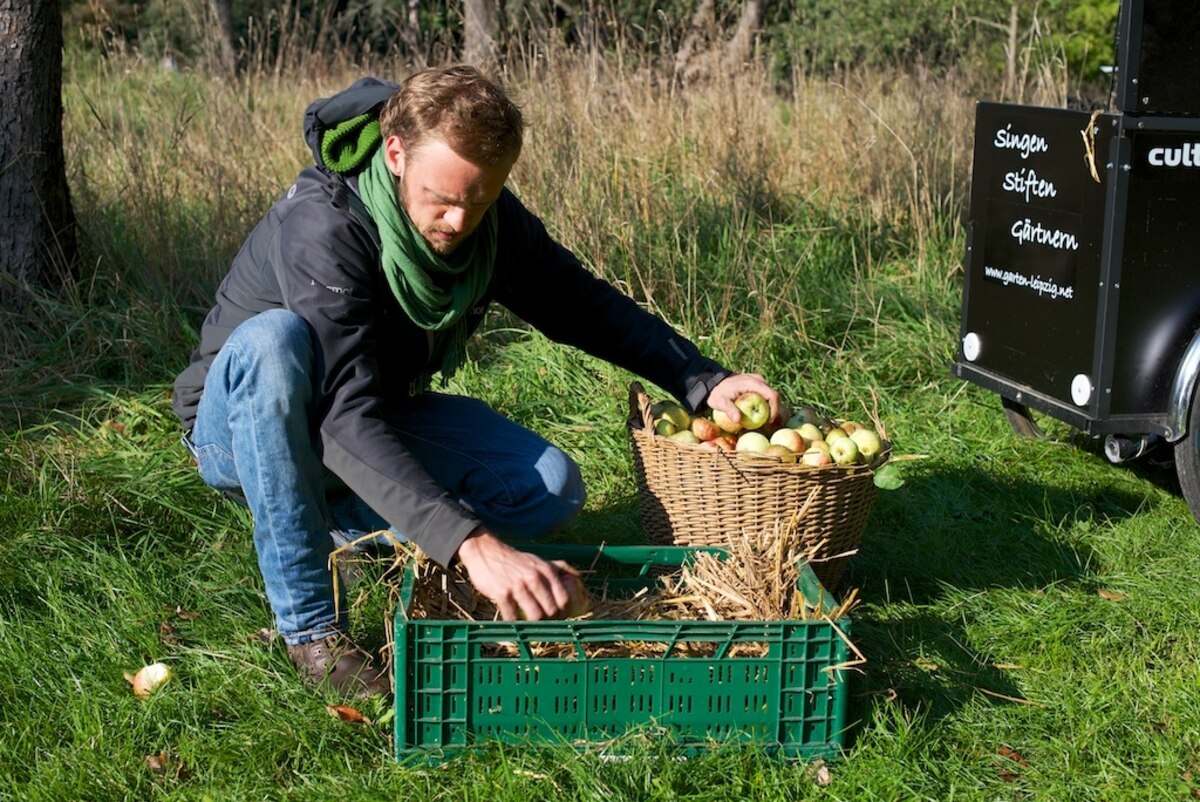 To Forage Fruit in Germany, Start By Looking Up